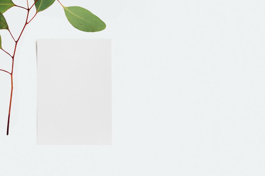 Identification Of Genomic Regions In Cassava Manihot Esculenta Crantz Associated With Drought